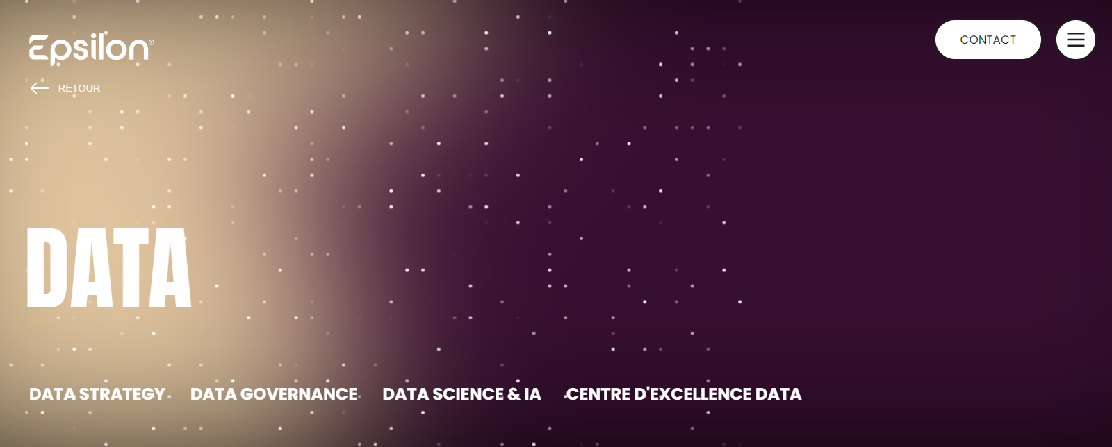 Data : Stratégie, Gouvernance et Data Science pour booster votre croissance | Epsilon France ...