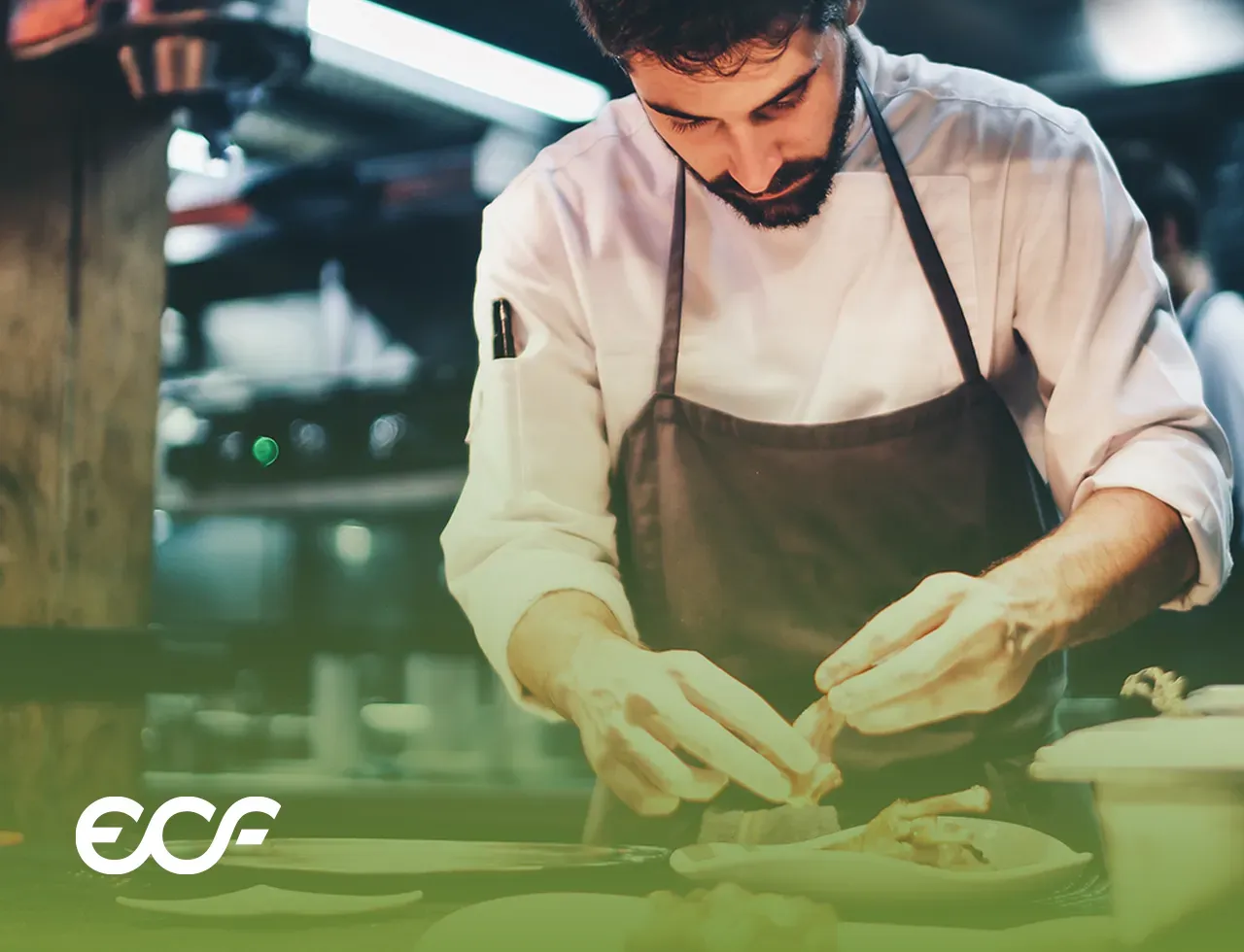 La transformation Data d'ECF Group | Epsilon France : votre agence data ...